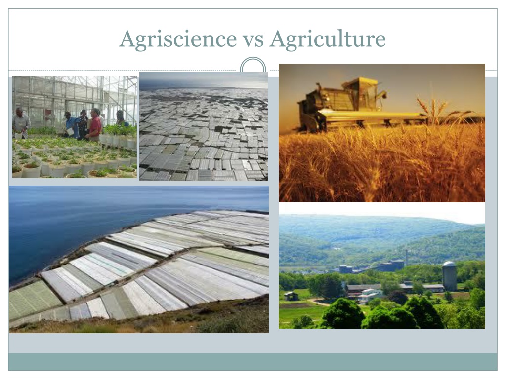 PPT - Agriscience vs Agriculture PowerPoint Presentation, free download ...