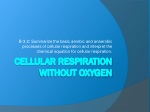 PPT - Cellular Respiration without Oxygen PowerPoint Presentation, free ...