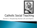 PPT - Catholic Social Teaching PowerPoint Presentation, free download ...