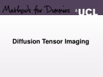 PPT - DIFFUSION TENSOR IMAGING PowerPoint Presentation, free download ...
