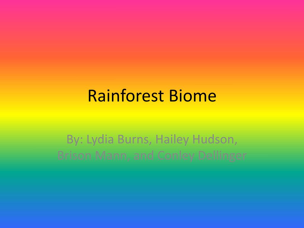 PPT - Rainforest Biome PowerPoint Presentation, free download - ID:1535311