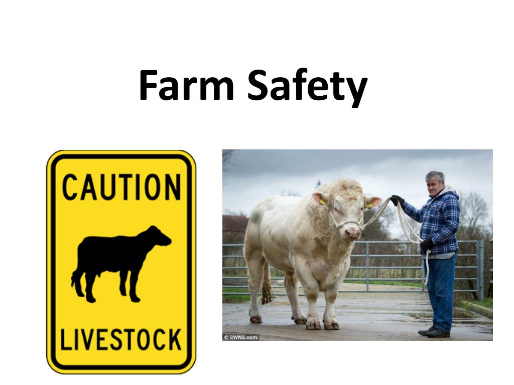 PPT - Farm Safety PowerPoint Presentation, free download - ID:1537105