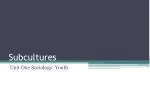 PPT - AGE SUBCULTURES PowerPoint Presentation, free download - ID:955029