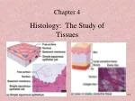PPT - Vertebrate/Human Tissues PowerPoint Presentation, free download ...