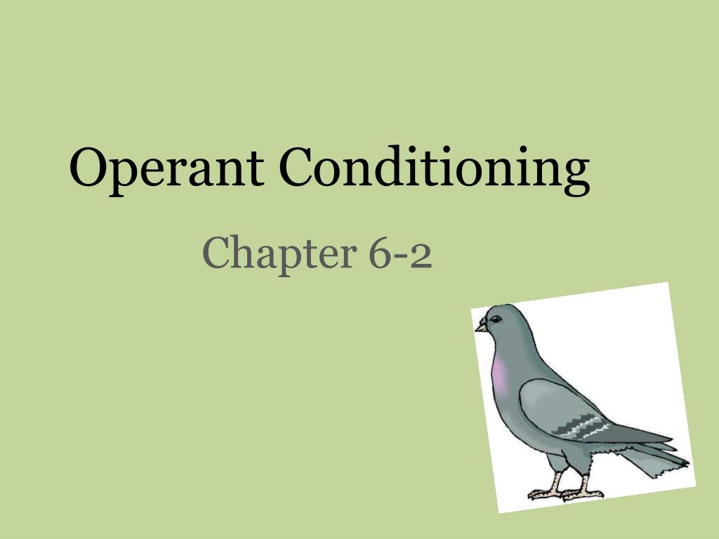 PPT - Operant Conditioning PowerPoint Presentation, free download - ID ...