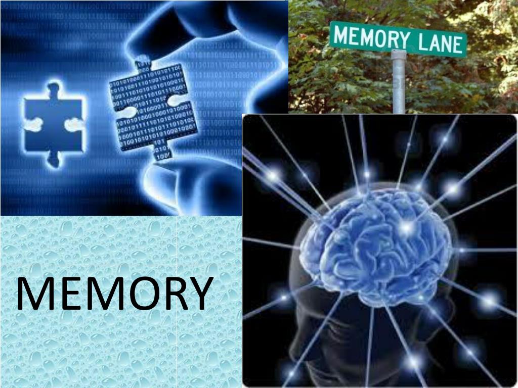 PPT - Memory PowerPoint Presentation, free download - ID:1548796