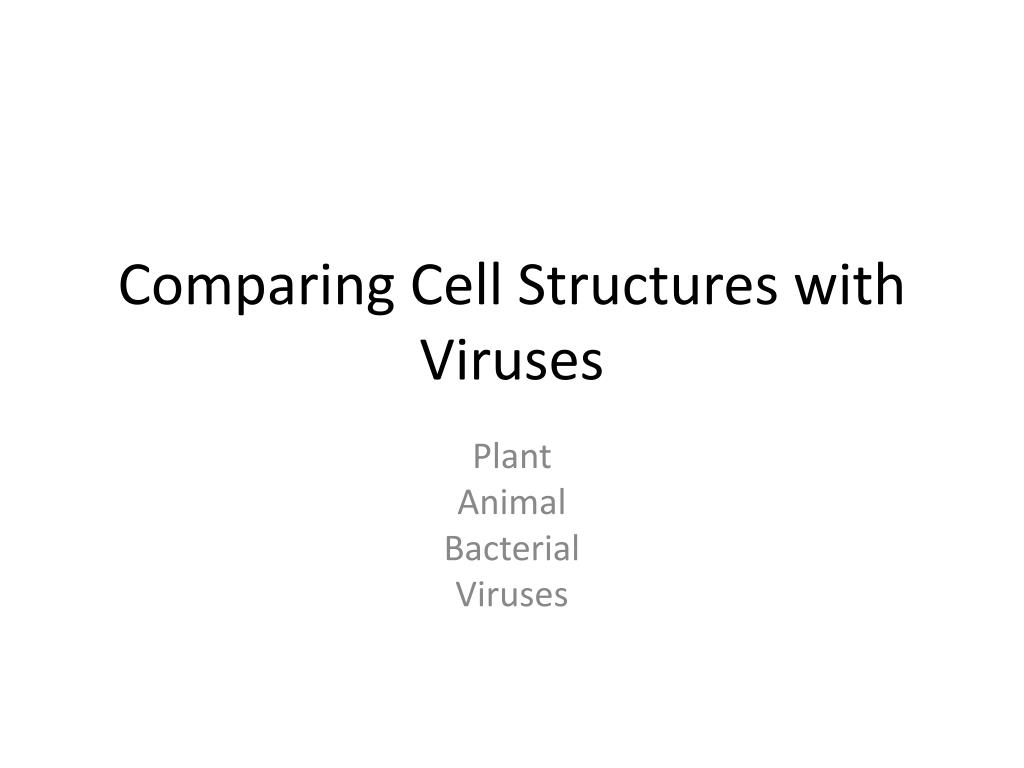 PPT - Comparing Cell Structures with Viruses PowerPoint Presentation ...