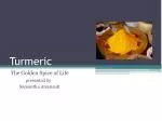 PPT - Health Benefits of Turmeric PowerPoint Presentation, free ...