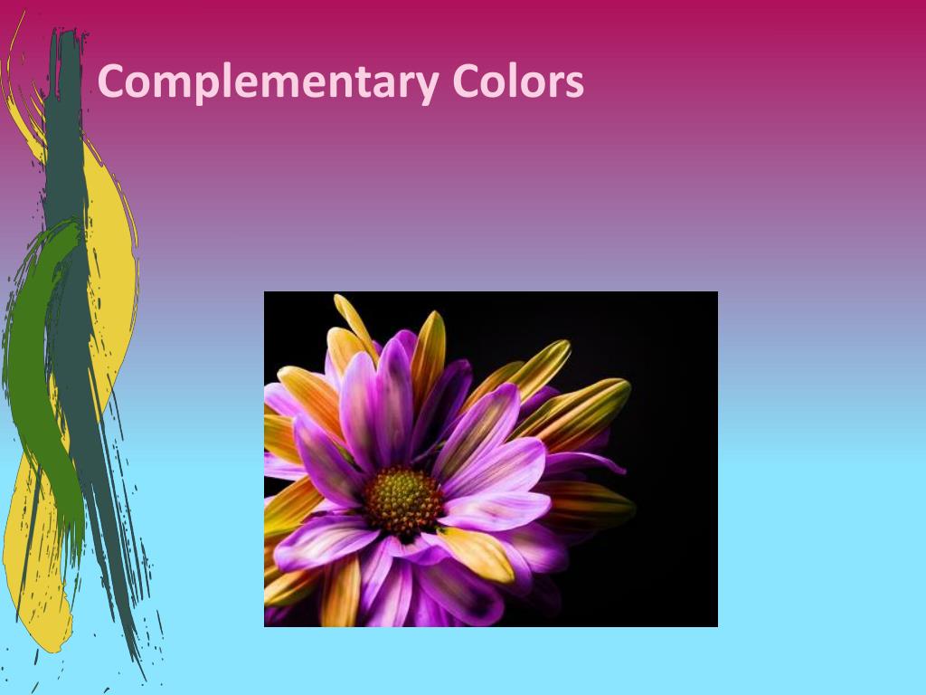 PPT - Complementary Colors PowerPoint Presentation, free download - ID ...
