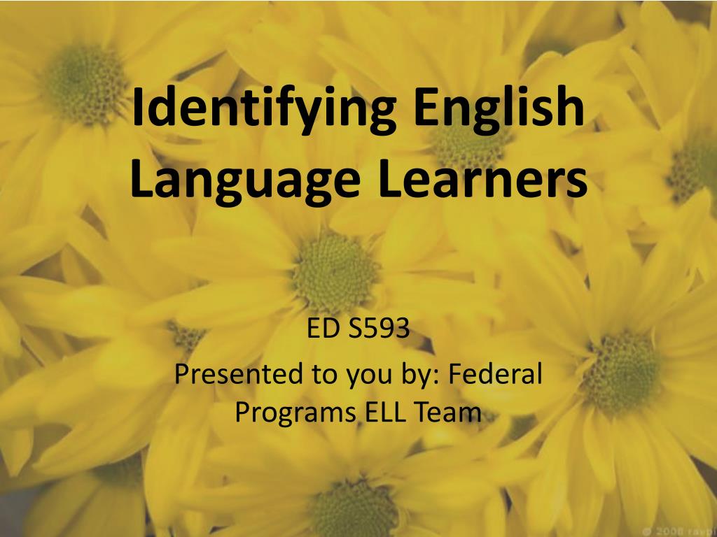PPT - Identifying English Language Learners PowerPoint Presentation ...