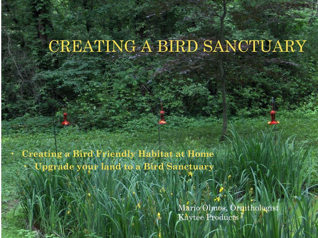 PPT - Creating a bird sanctuary PowerPoint Presentation, free download ...