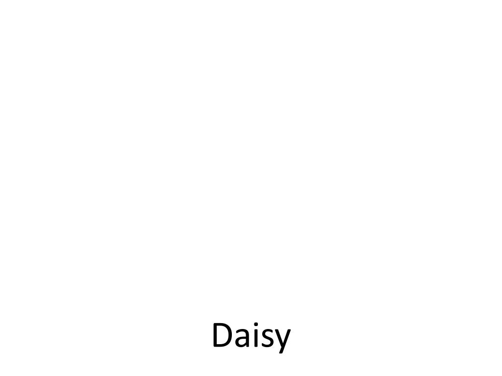 PPT - Daisy PowerPoint Presentation, free download - ID:1560676