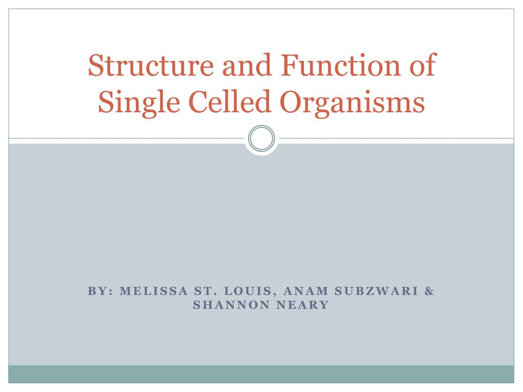 PPT - Structure and Function of Single Celled Organisms PowerPoint ...