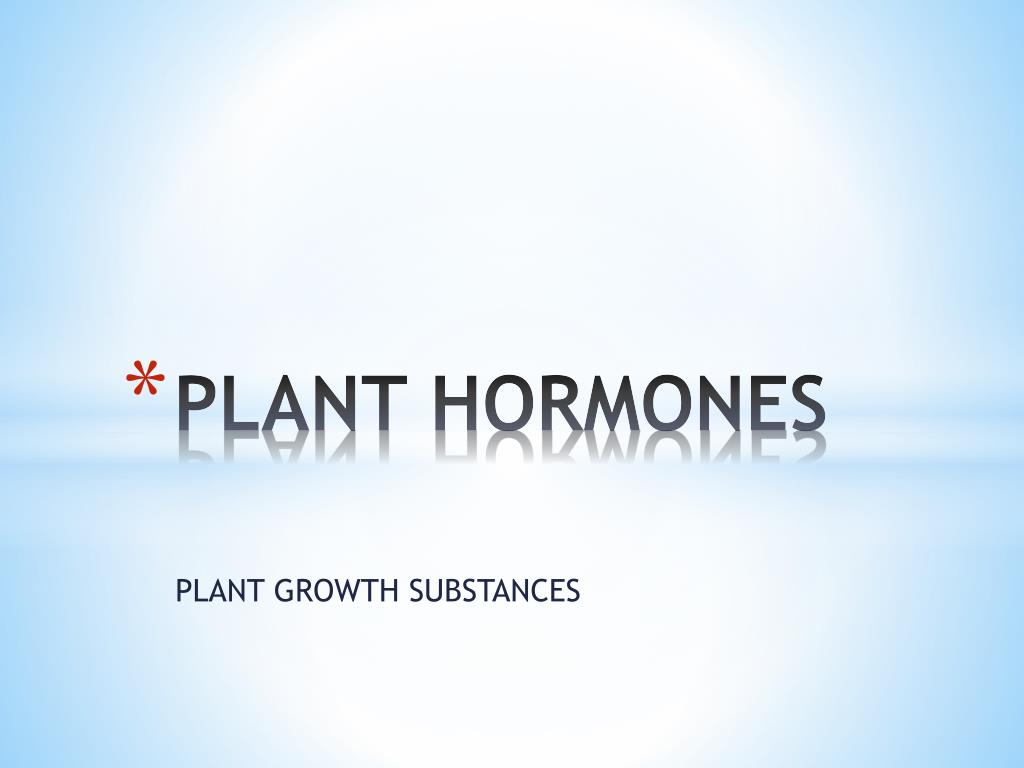 PPT - PLANT HORMONES PowerPoint Presentation, free download - ID:1561212