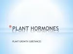 PPT - Plant Hormones PowerPoint Presentation, free download - ID:790627