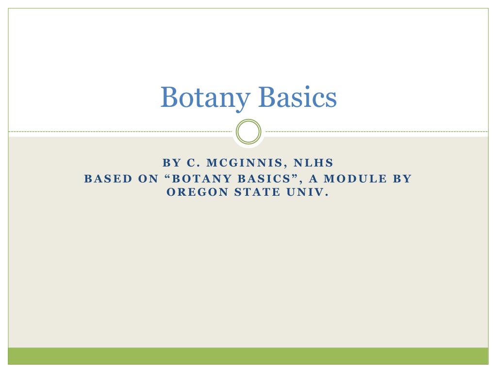 PPT - Botany Basics PowerPoint Presentation, free download - ID:1561531
