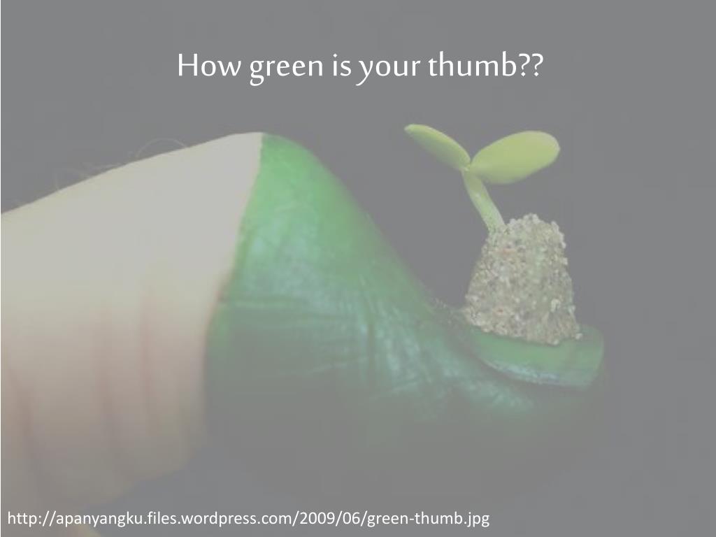 PPT - How green is your thumb ?? PowerPoint Presentation, free download ...