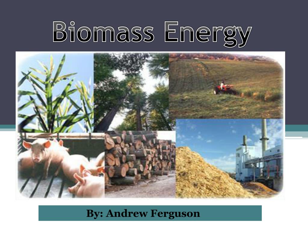 PPT - Biomass Energy PowerPoint Presentation, free download - ID:1561940