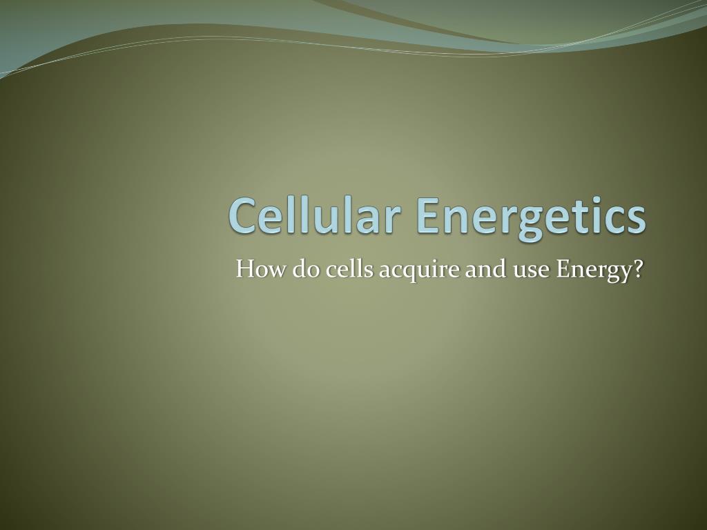 PPT - Cellular Energetics PowerPoint Presentation, free download - ID ...