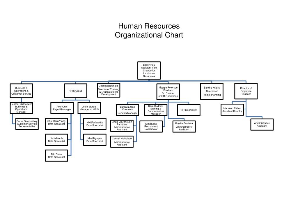 PPT - Human Resources Organizational Chart PowerPoint Presentation ...