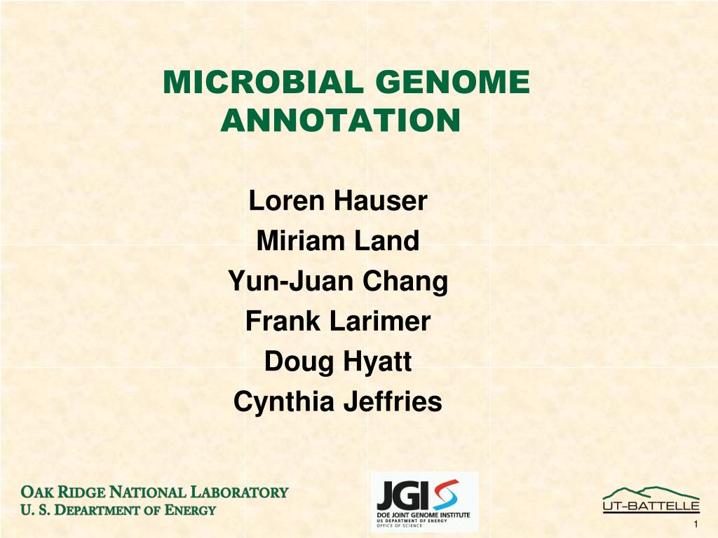 PPT - MICROBIAL GENOME ANNOTATION PowerPoint Presentation, free ...