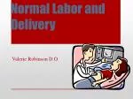 PPT - Normal labor and delivery PowerPoint Presentation, free download ...
