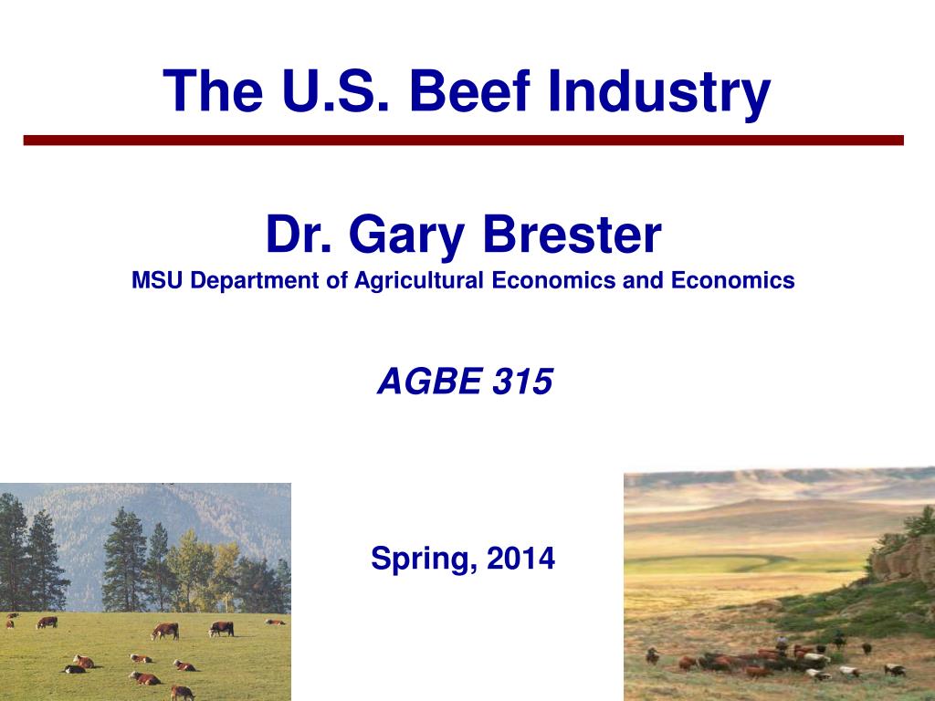 PPT - Overview of the U.S. Beef Industry: Production, Demand, and Trade ...