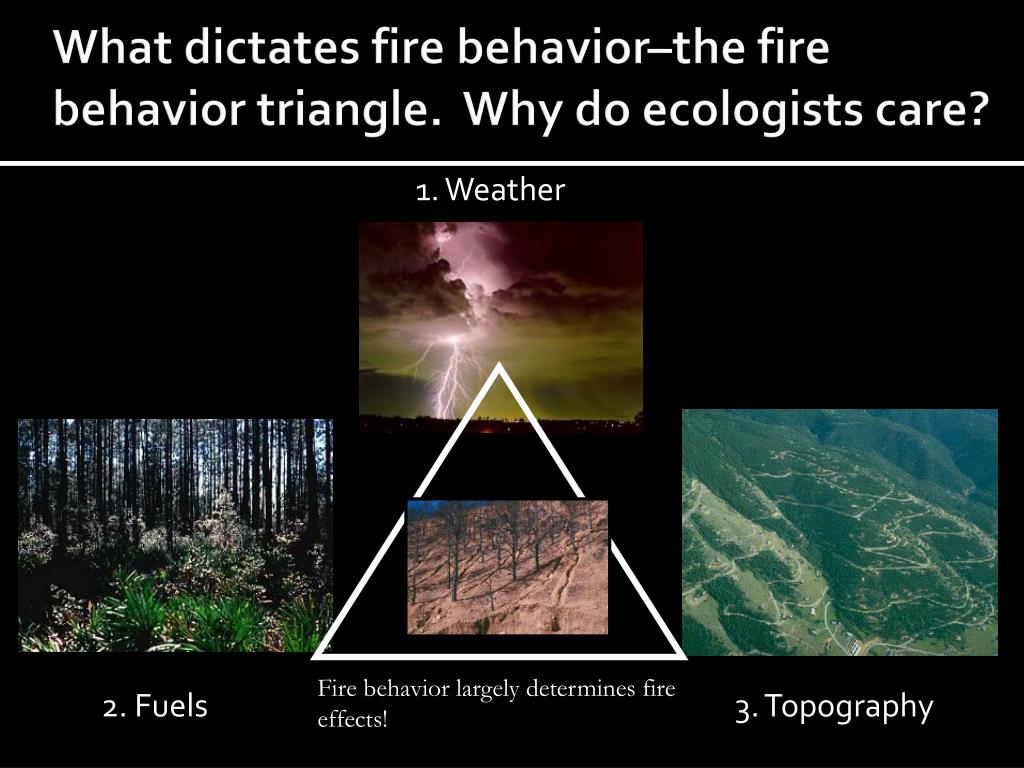 PPT - What dictates fire behavior–the fire behavior triangle. Why do ...
