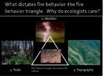 PPT - Fire Behavior PowerPoint Presentation, free download - ID:317412