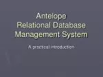 PPT - Relational Database Management System PowerPoint Presentation ...