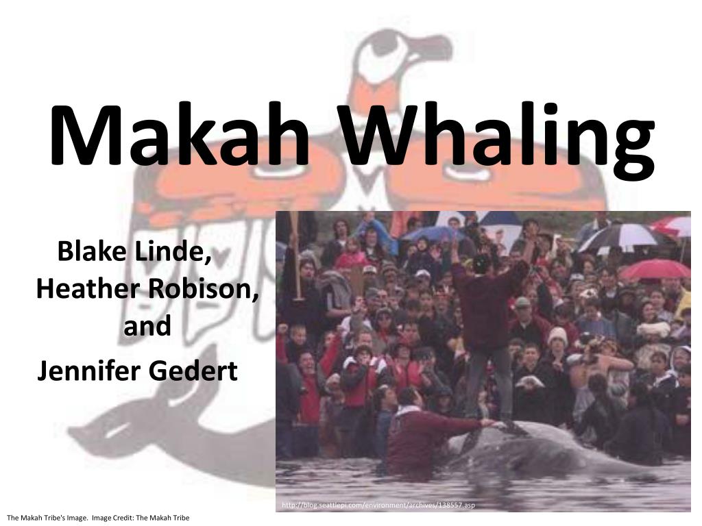 PPT - Makah Whaling PowerPoint Presentation, free download - ID:1584343