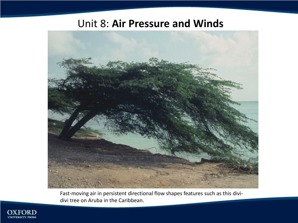 PPT - Unit 8: Air Pressure and Winds PowerPoint Presentation, free ...