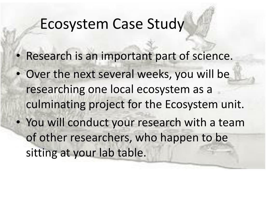 PPT - Ecosystem Case Study PowerPoint Presentation, free download - ID ...