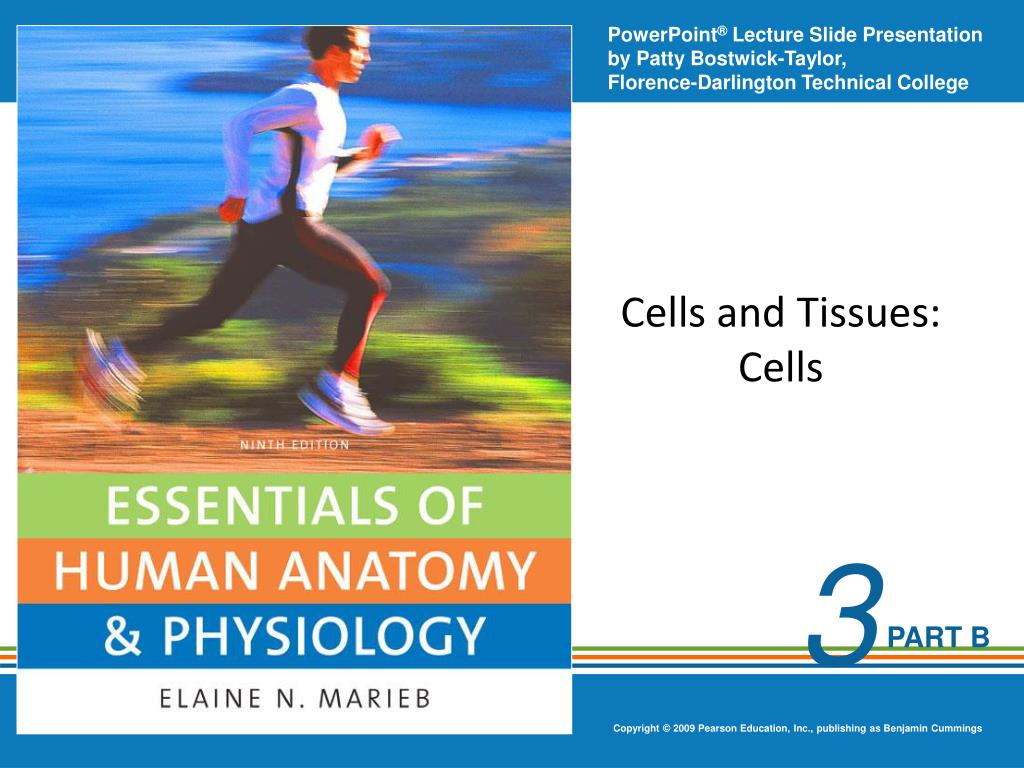 PPT - Cells and Tissues: Cells PowerPoint Presentation, free download ...