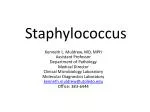 PPT - Staphylococcus PowerPoint Presentation, free download - ID:521076