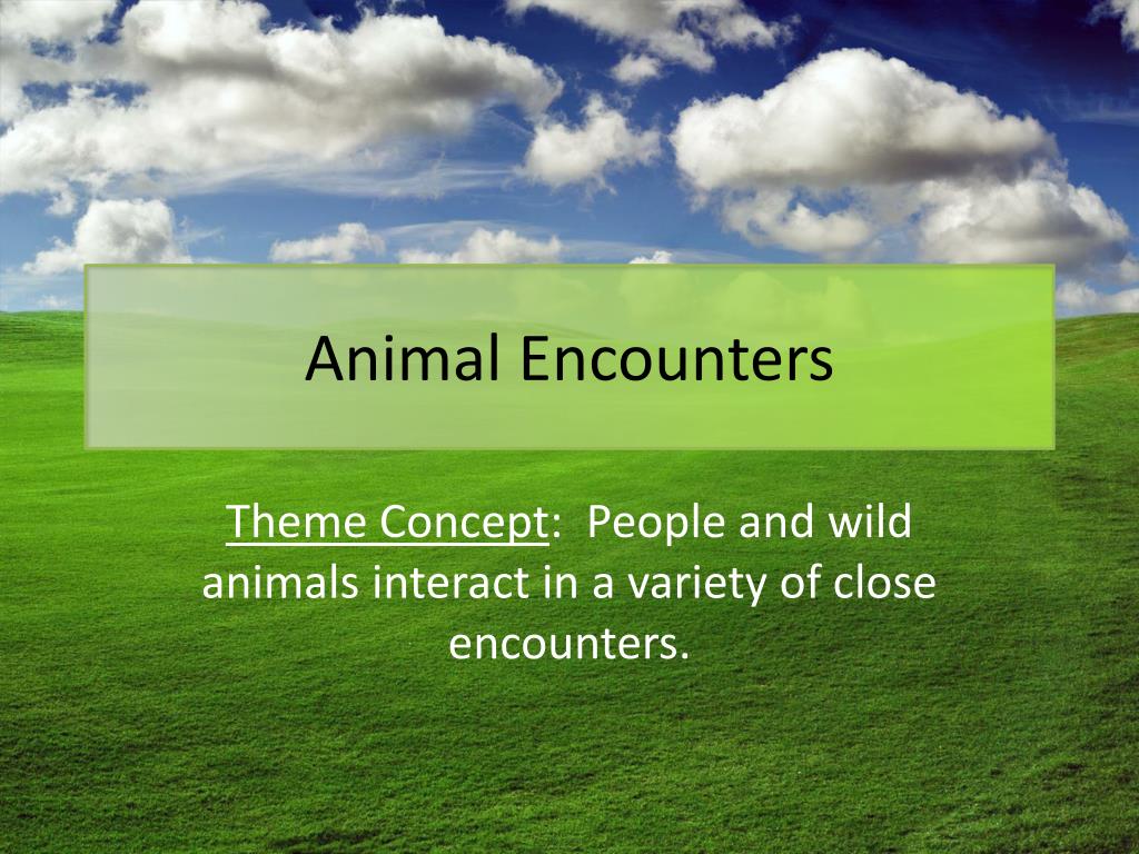 PPT - Animal Encounters PowerPoint Presentation, free download - ID:1591446