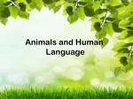 PPT - The Relationship of Human and Animals. PowerPoint Presentation ...
