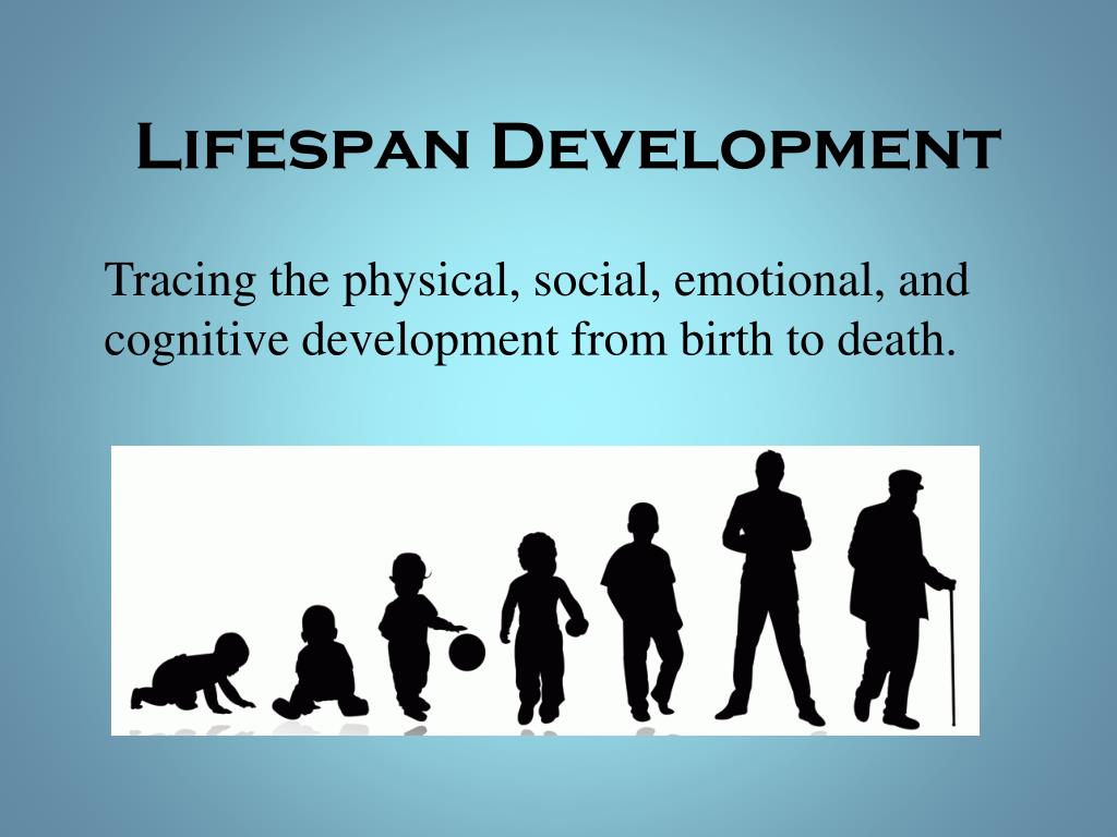 PPT - Lifespan Development PowerPoint Presentation, free download - ID ...