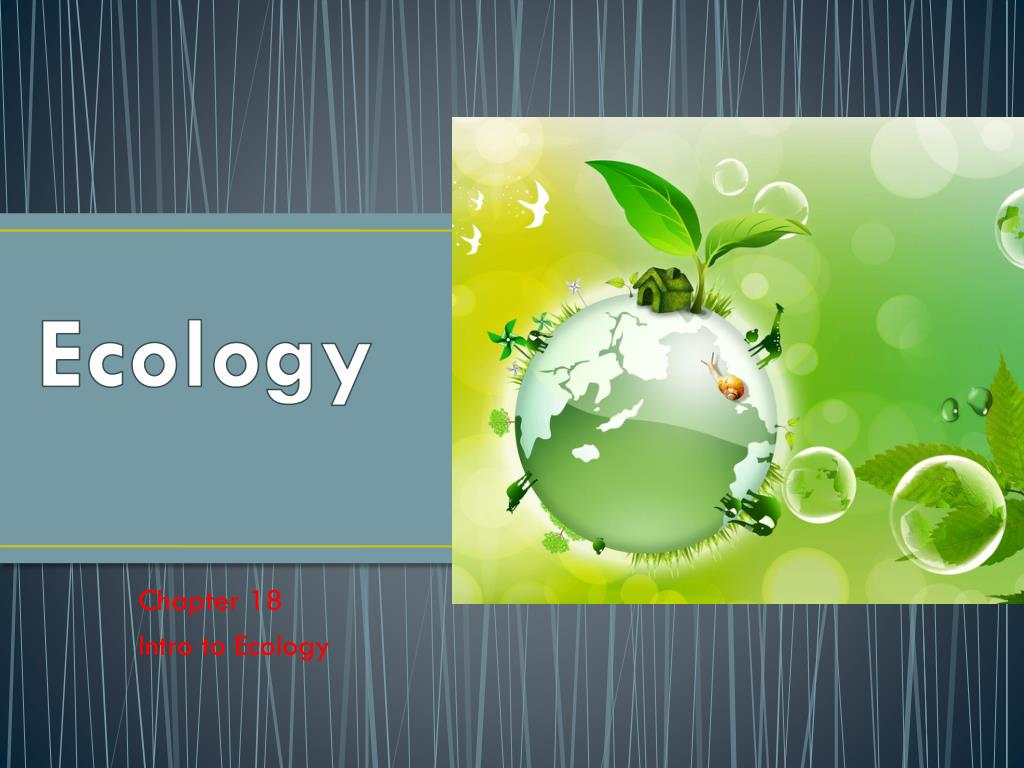 PPT - Ecology PowerPoint Presentation, free download - ID:1596092