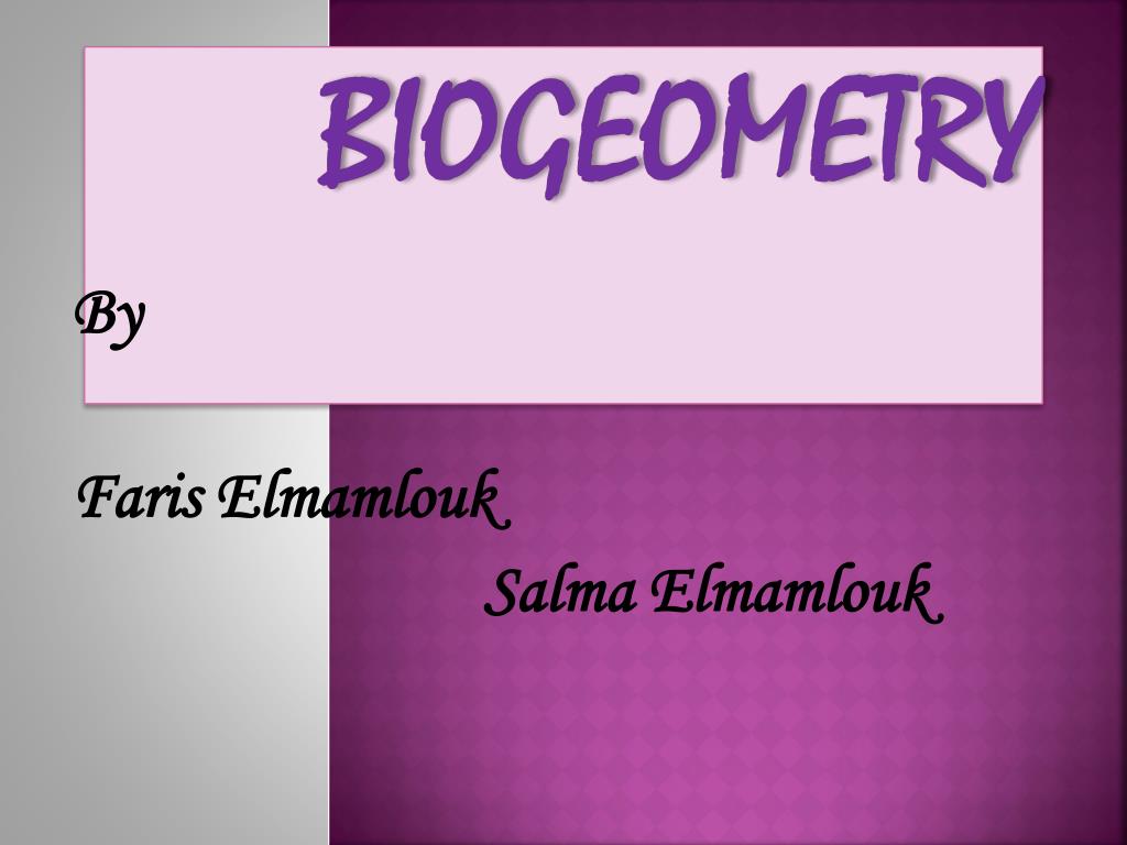 PPT - BIOGEOMETRY PowerPoint Presentation, free download - ID:1596194