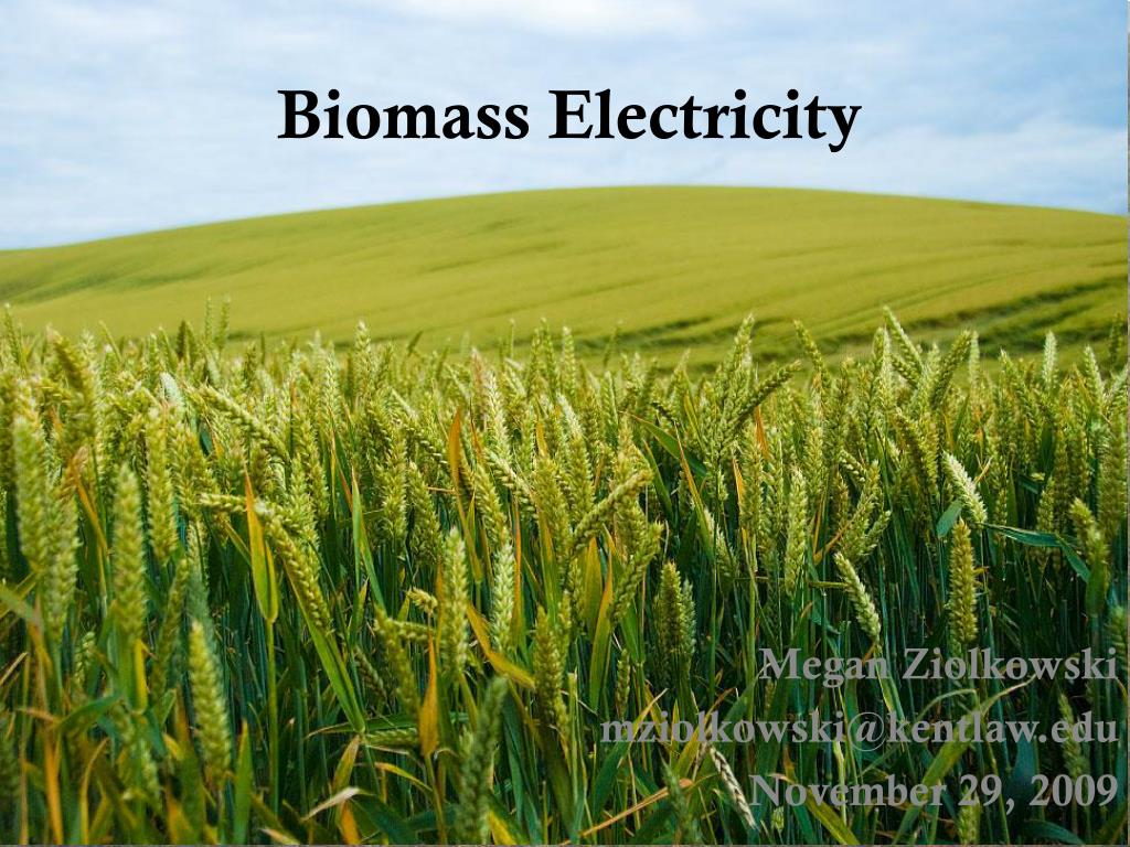 PPT - Biomass Electricity PowerPoint Presentation, free download - ID ...