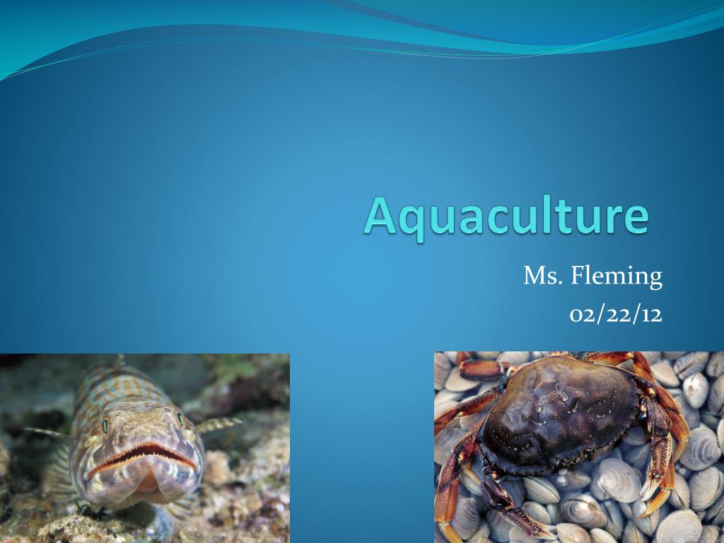 PPT - Aquaculture PowerPoint Presentation, free download - ID:1599008