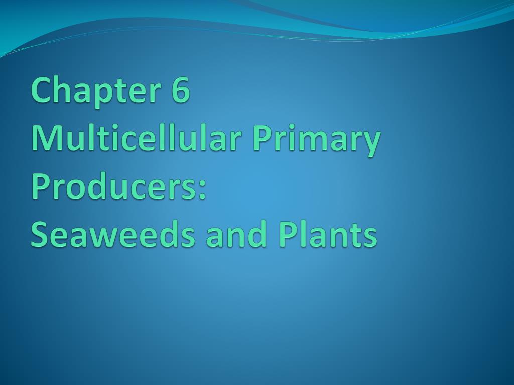 PPT - Chapter 6 Multicellular Primary Producers: Seaweeds and Plants ...