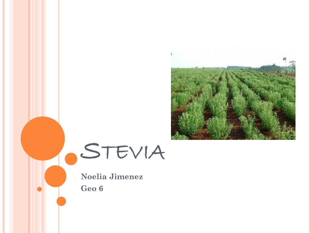 PPT - Stevia PowerPoint Presentation, free download - ID:1601822