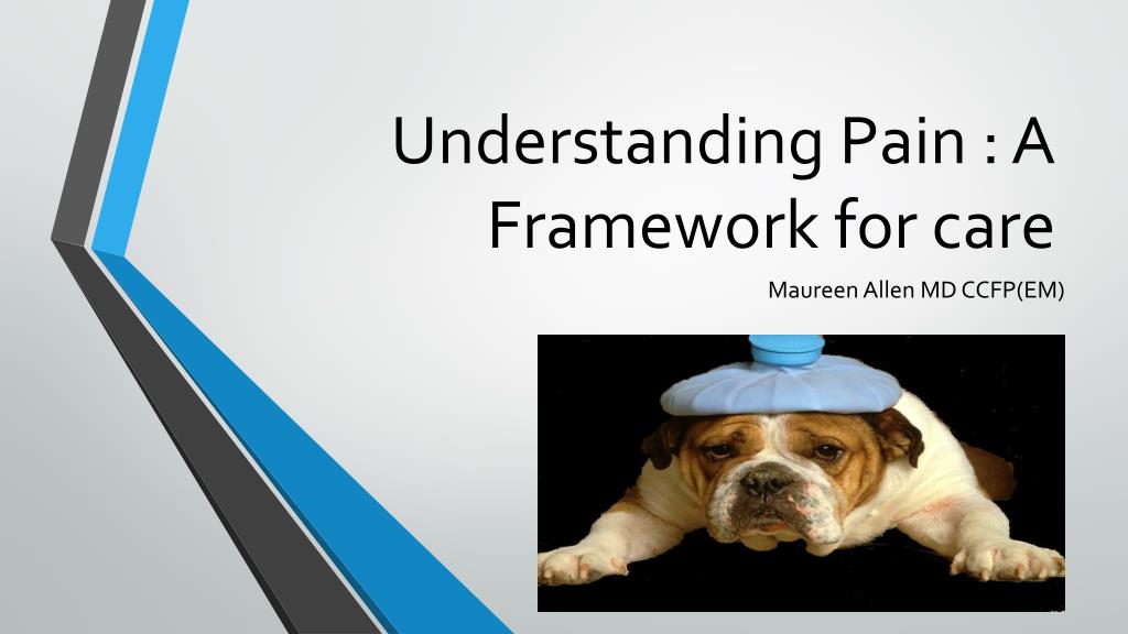 PPT - Understanding Pain : A Framework for care PowerPoint Presentation ...