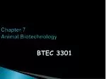 PPT - Animal Biotechnology PowerPoint Presentation, free download - ID ...