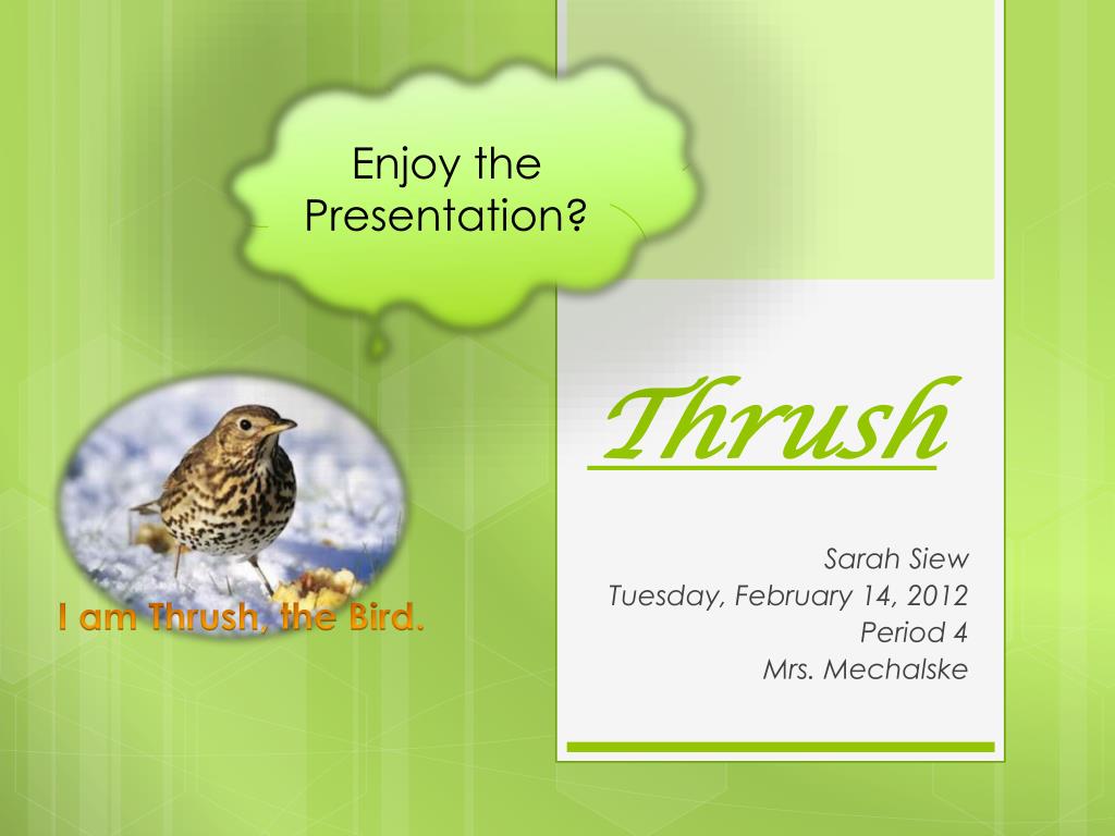 PPT - Thrush PowerPoint Presentation, free download - ID:1603813