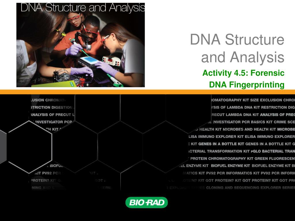 PPT - DNA Structure and Analysis PowerPoint Presentation, free download ...