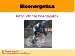 PPT - BIOENERGETICS PowerPoint Presentation, free download - ID:9072015