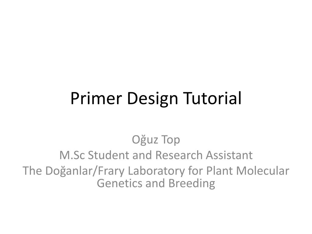 PPT - Primer Design Tutorial PowerPoint Presentation, free download ...